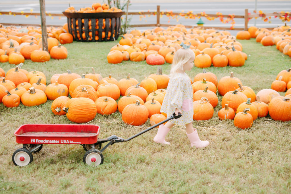 A Morning At The Pumpkin Patch